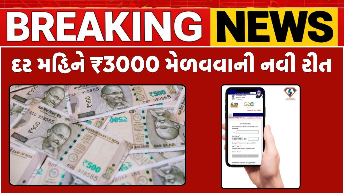 દર મહિને ₹3000 મેળવવાની નવી રીત, ફક્ત 2 સ્ટેપમાં ઓનલાઈન ફોર્મ ભરો ...
